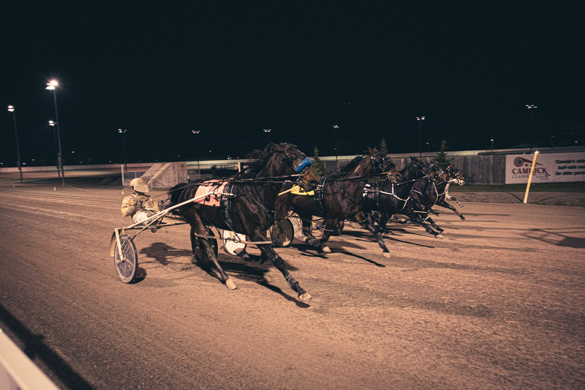 Bet Now – Horse Racing | Ontario Racing - Ontario Racing