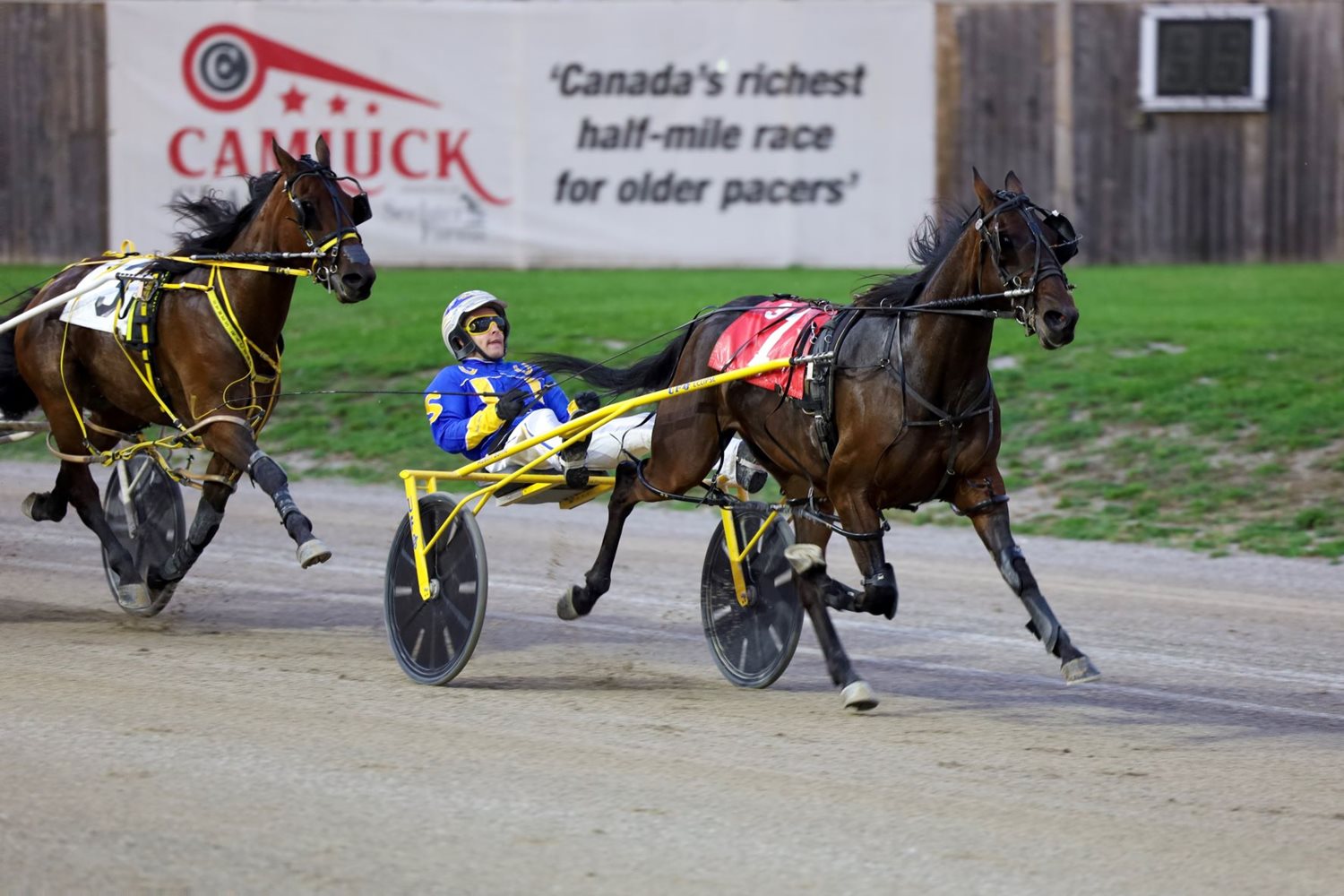 Bet Now – Horse Racing | Ontario Racing - Ontario Racing