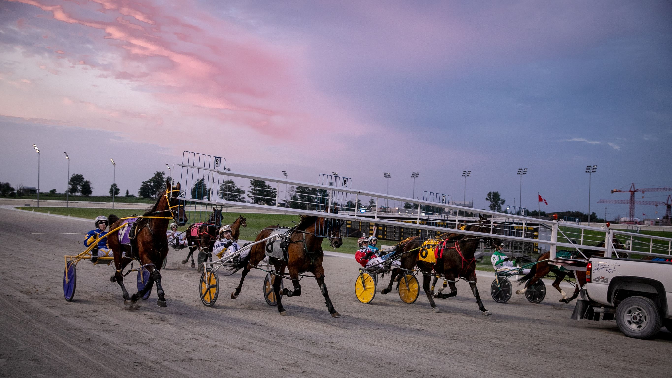 Bet Now – Horse Racing | Ontario Racing - Ontario Racing