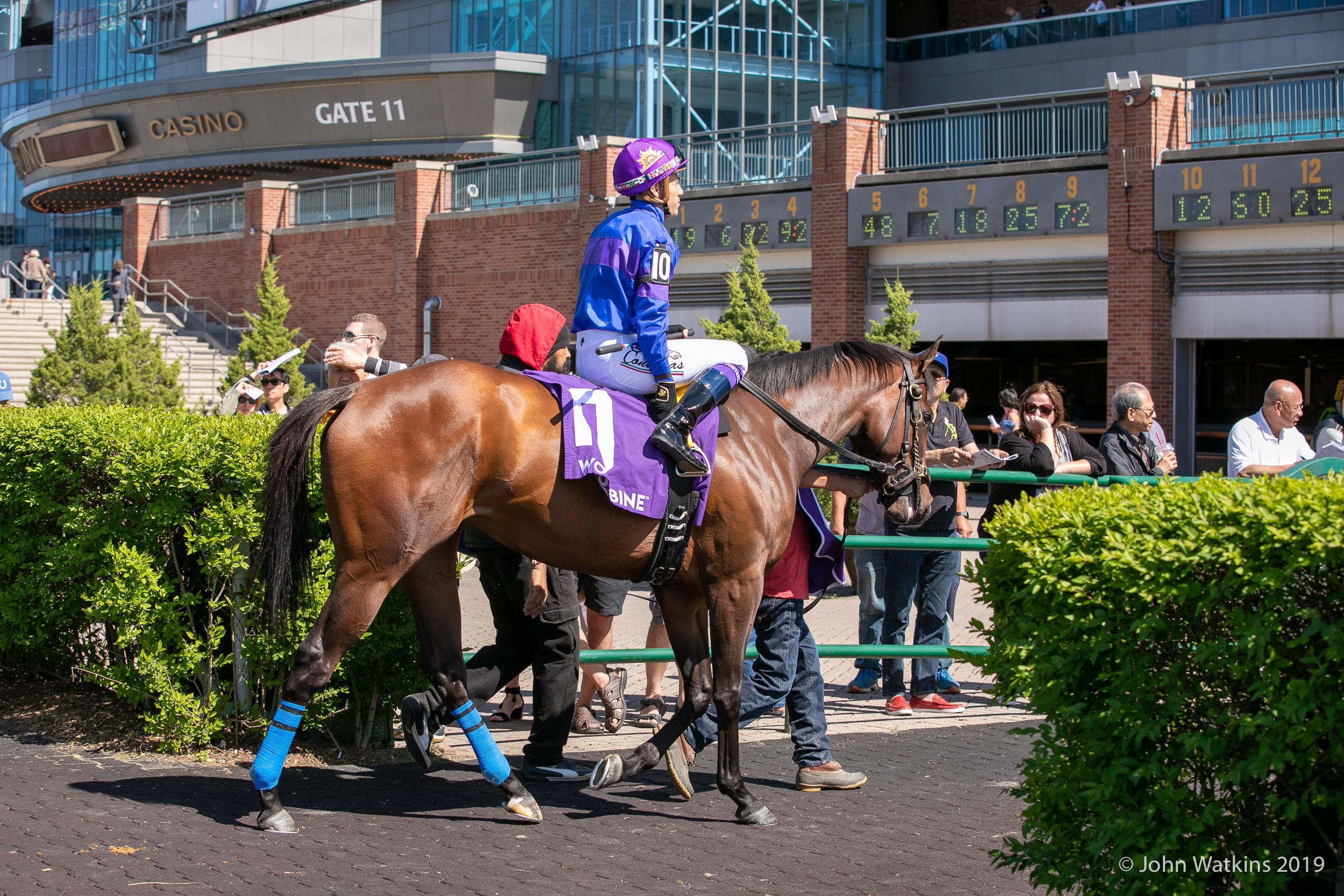 Bet Now – Horse Racing | Ontario Racing - Ontario Racing