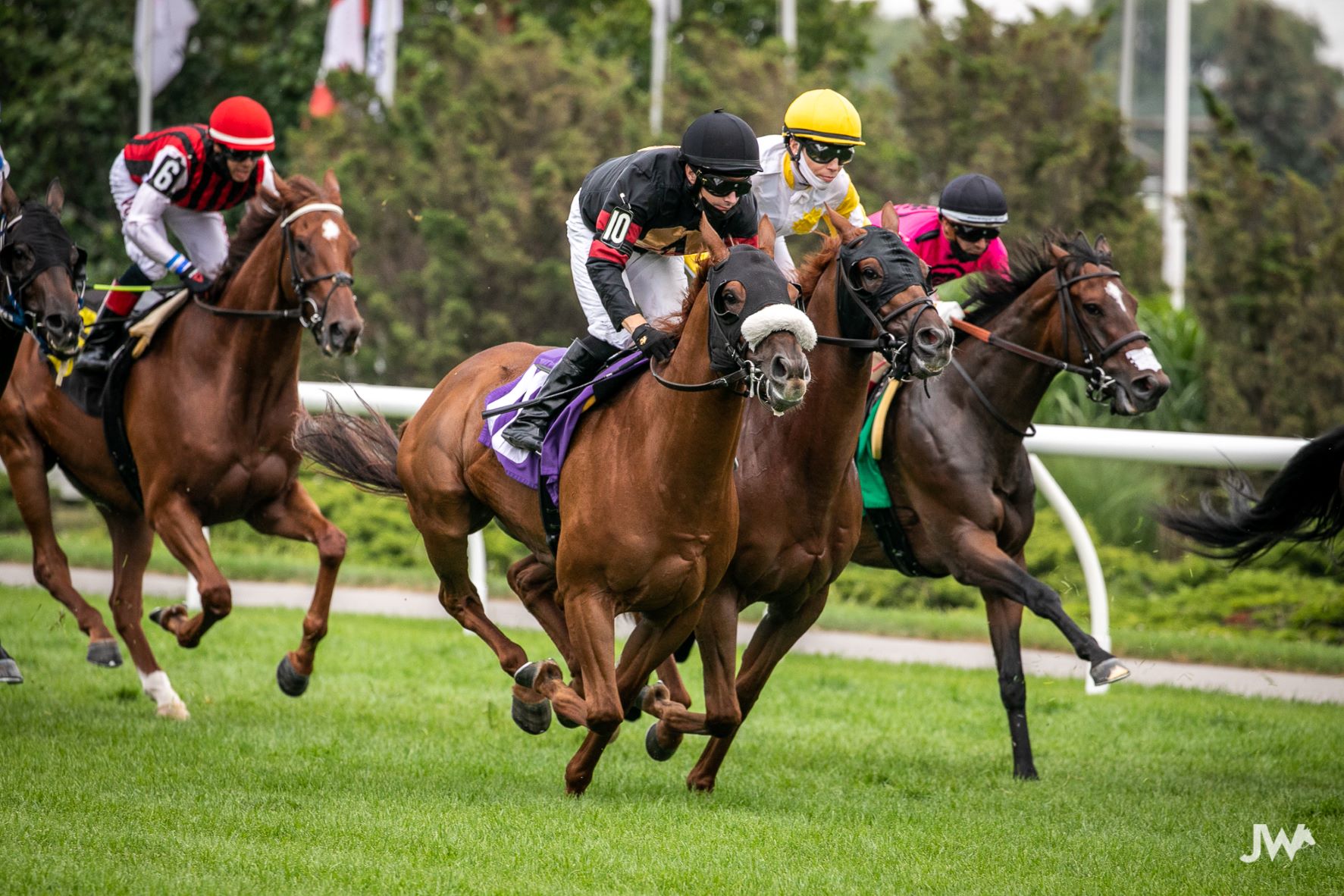 Bet Now – Horse Racing | Ontario Racing - Ontario Racing