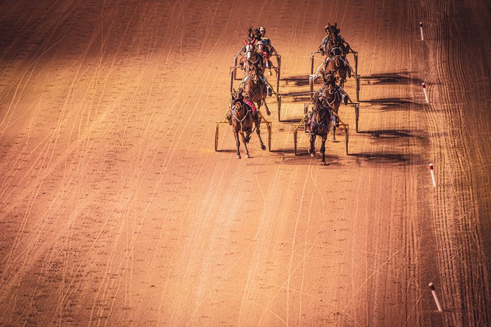 Bet Now – Horse Racing | Ontario Racing - Ontario Racing