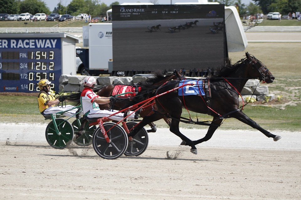 Bet Now – Horse Racing | Ontario Racing - Ontario Racing