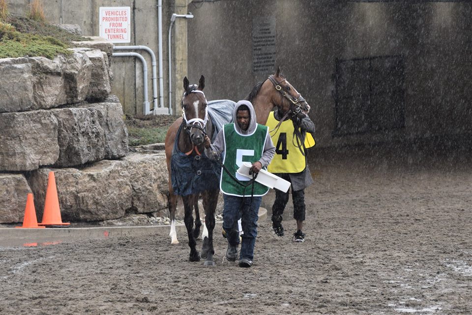 Bet Now – Horse Racing | Ontario Racing - Ontario Racing