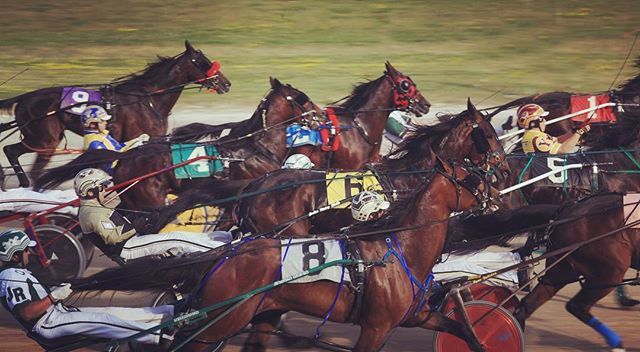 Bet Now – Horse Racing | Ontario Racing - Ontario Racing