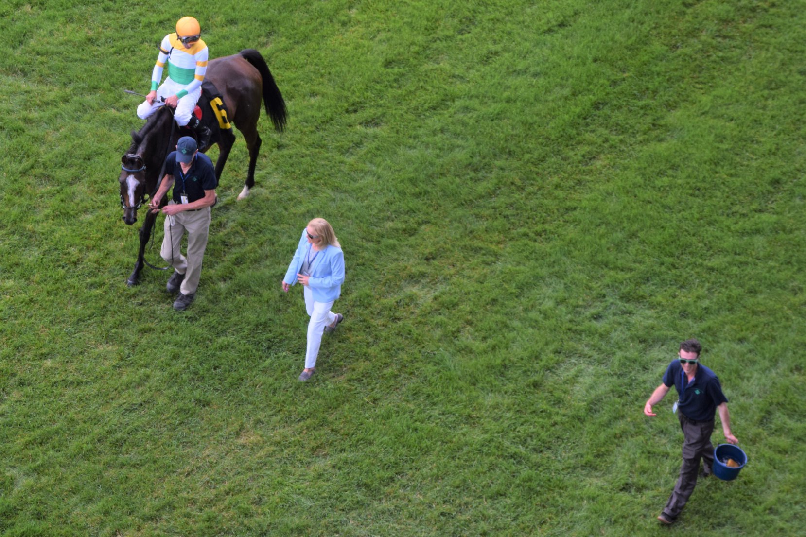 Bet Now – Horse Racing | Ontario Racing - Ontario Racing