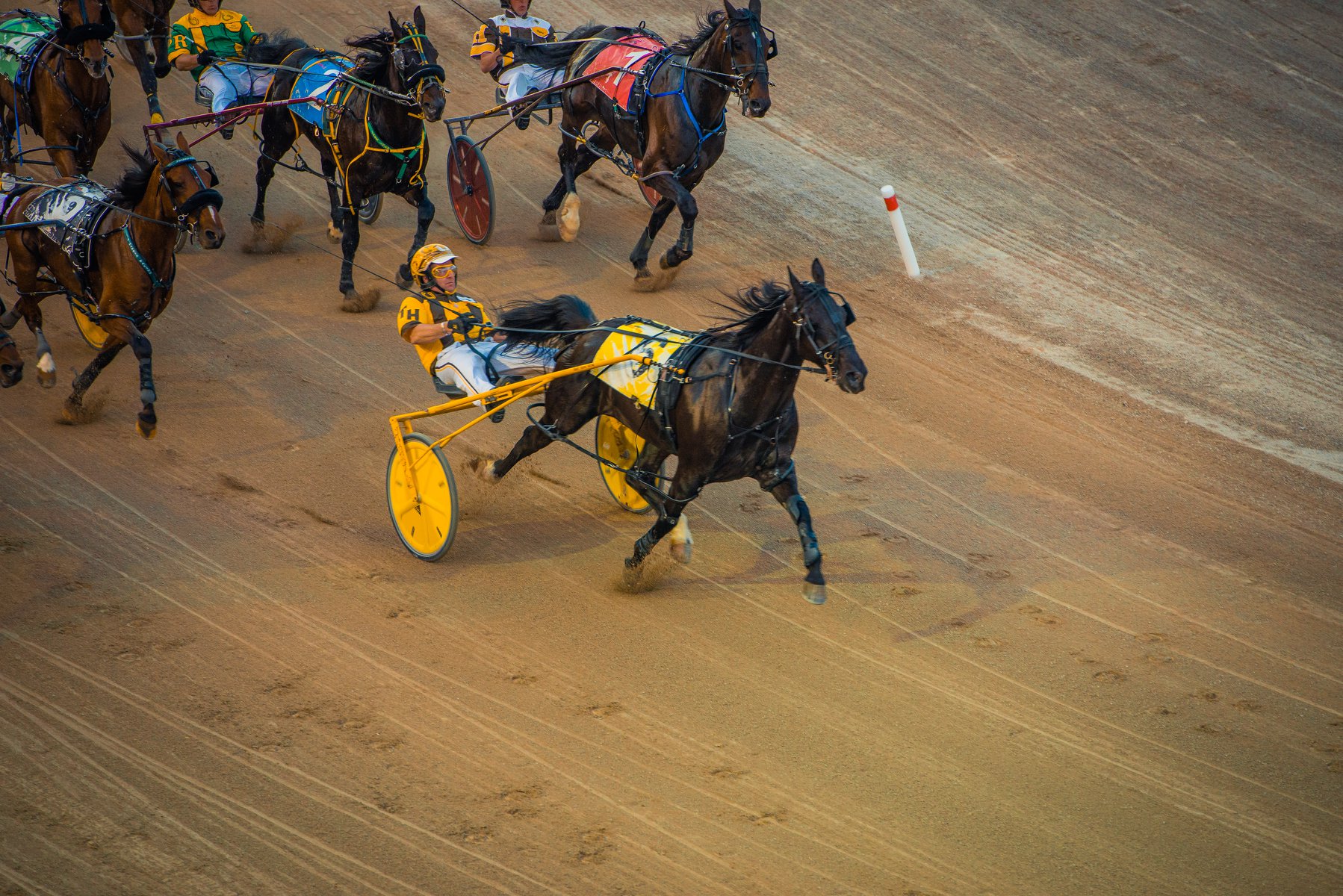 Bet Now – Horse Racing | Ontario Racing - Ontario Racing