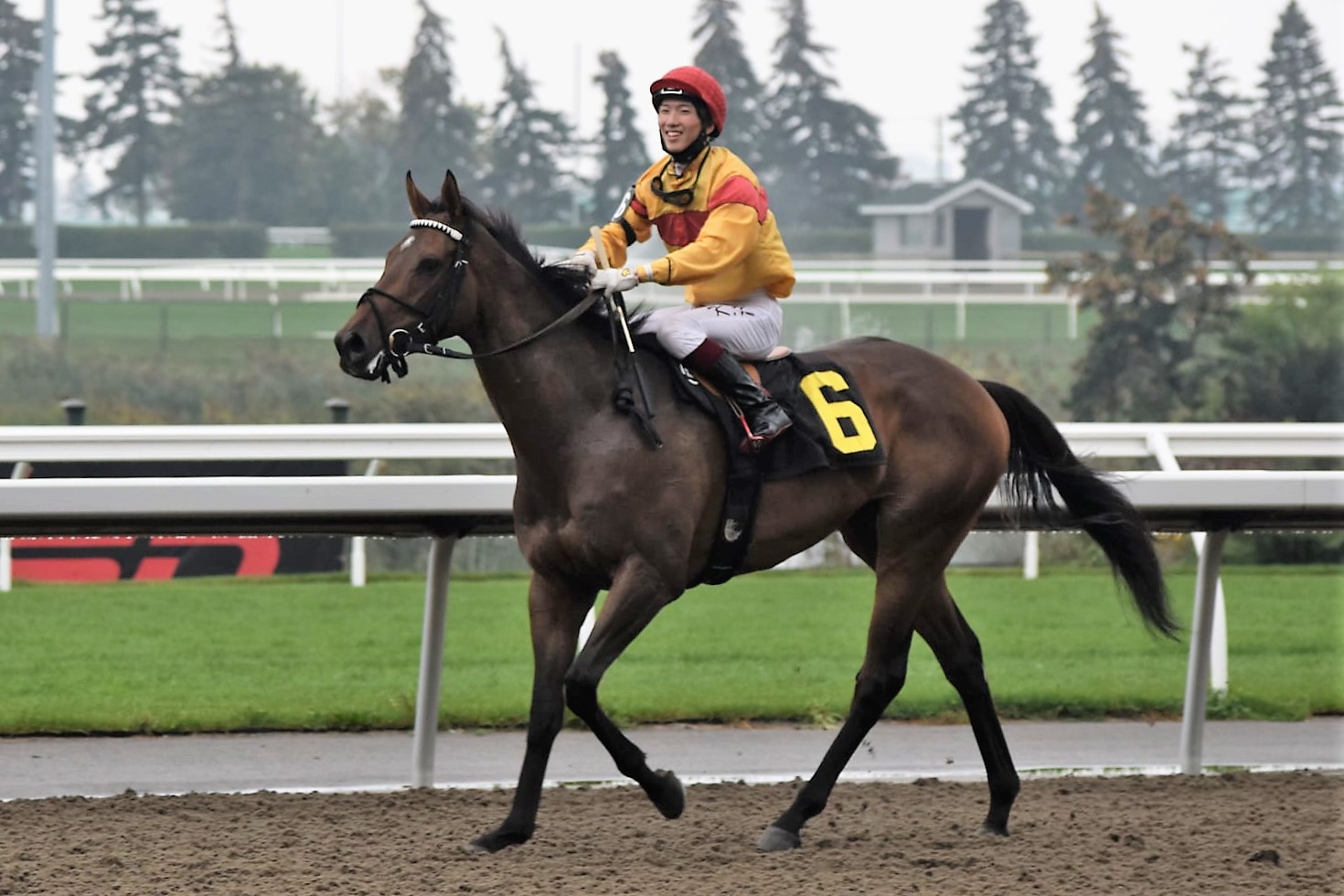 Bet Now – Horse Racing | Ontario Racing - Ontario Racing