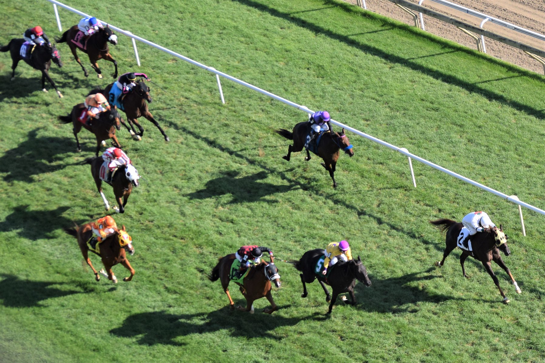 Bet Now – Horse Racing | Ontario Racing - Ontario Racing