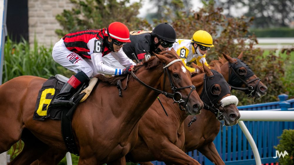 Bet Now – Horse Racing | Ontario Racing - Ontario Racing