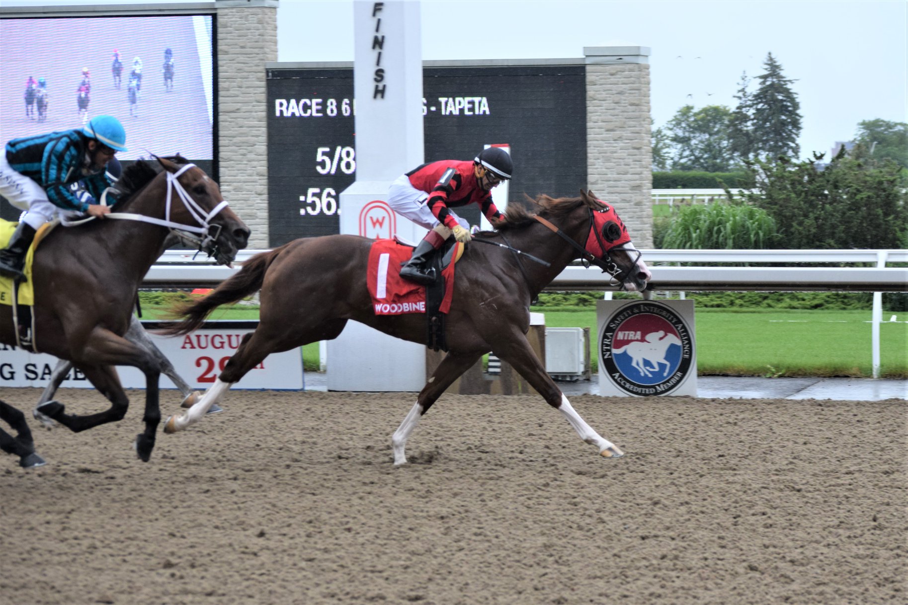 Bet Now – Horse Racing | Ontario Racing - Ontario Racing