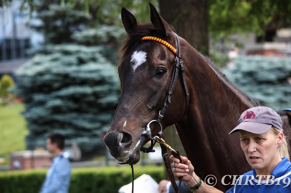 Bet Now – Horse Racing | Ontario Racing - Ontario Racing