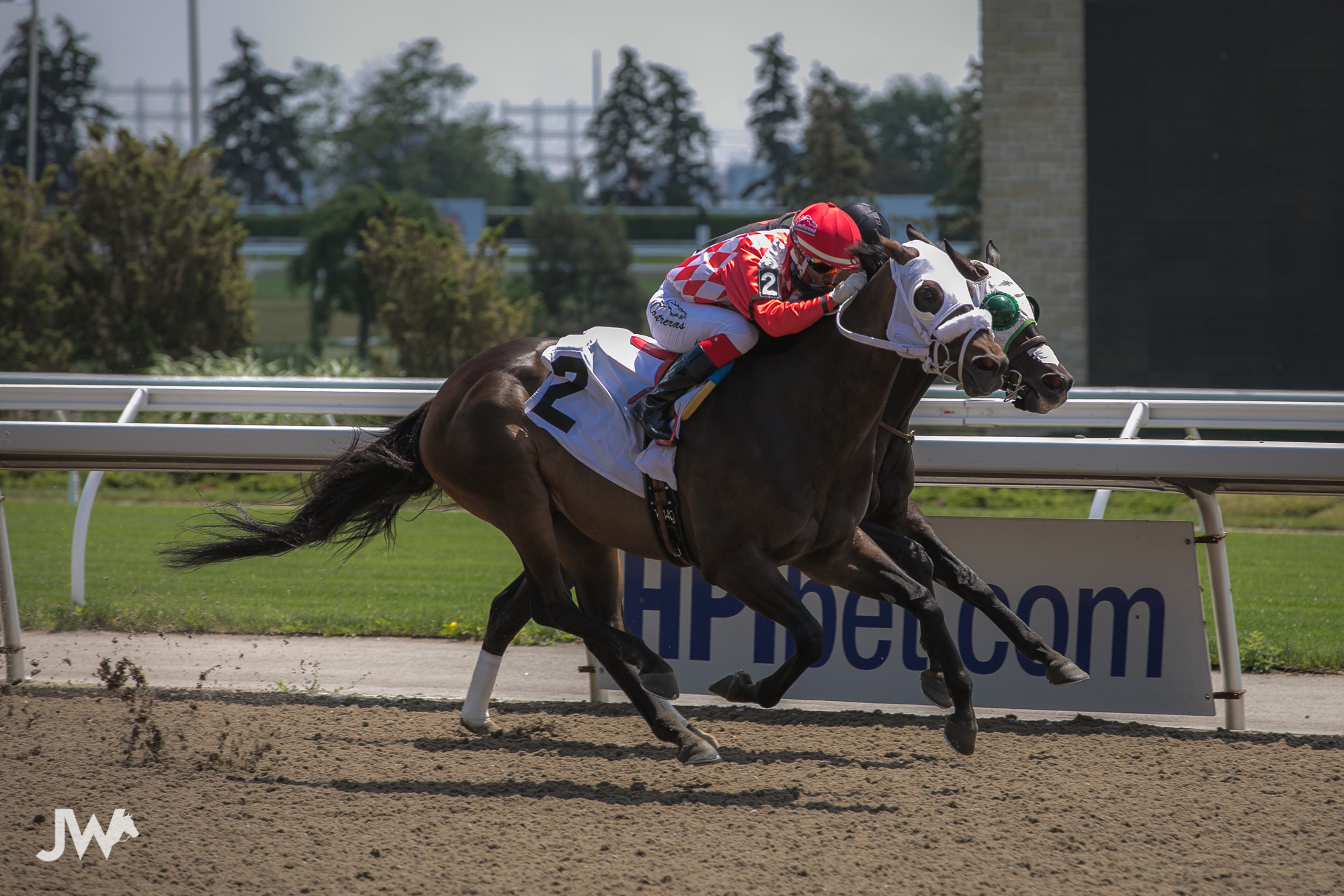 Bet Now – Horse Racing | Ontario Racing - Ontario Racing