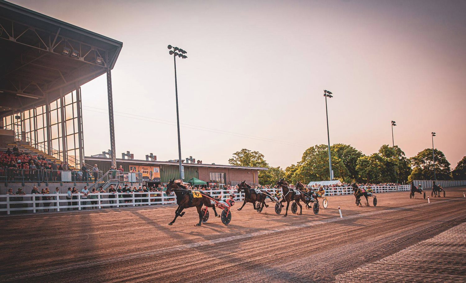 Bet Now – Horse Racing | Ontario Racing - Ontario Racing