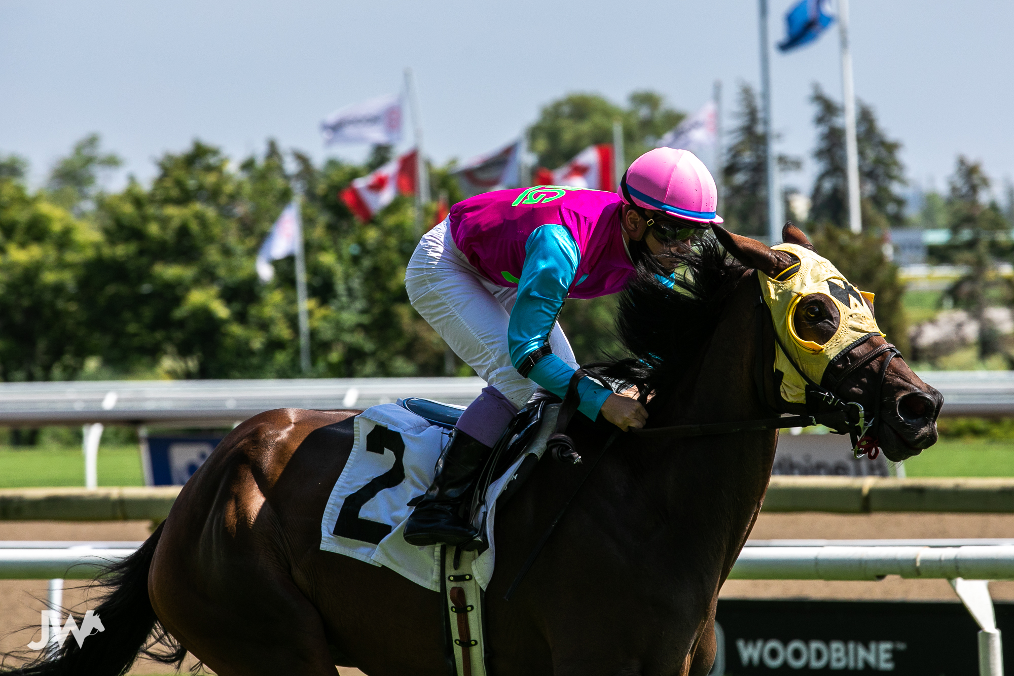 Bet Now – Horse Racing | Ontario Racing - Ontario Racing