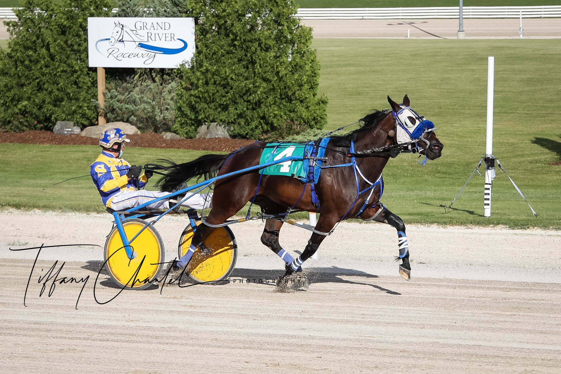 Bet Now – Horse Racing | Ontario Racing - Ontario Racing