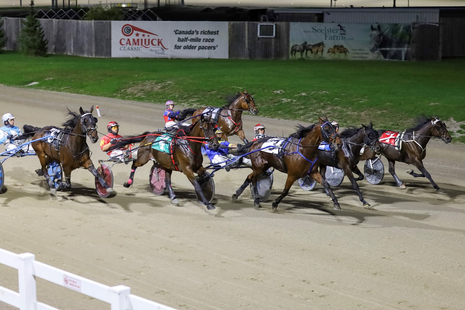 Bet Now – Horse Racing | Ontario Racing - Ontario Racing