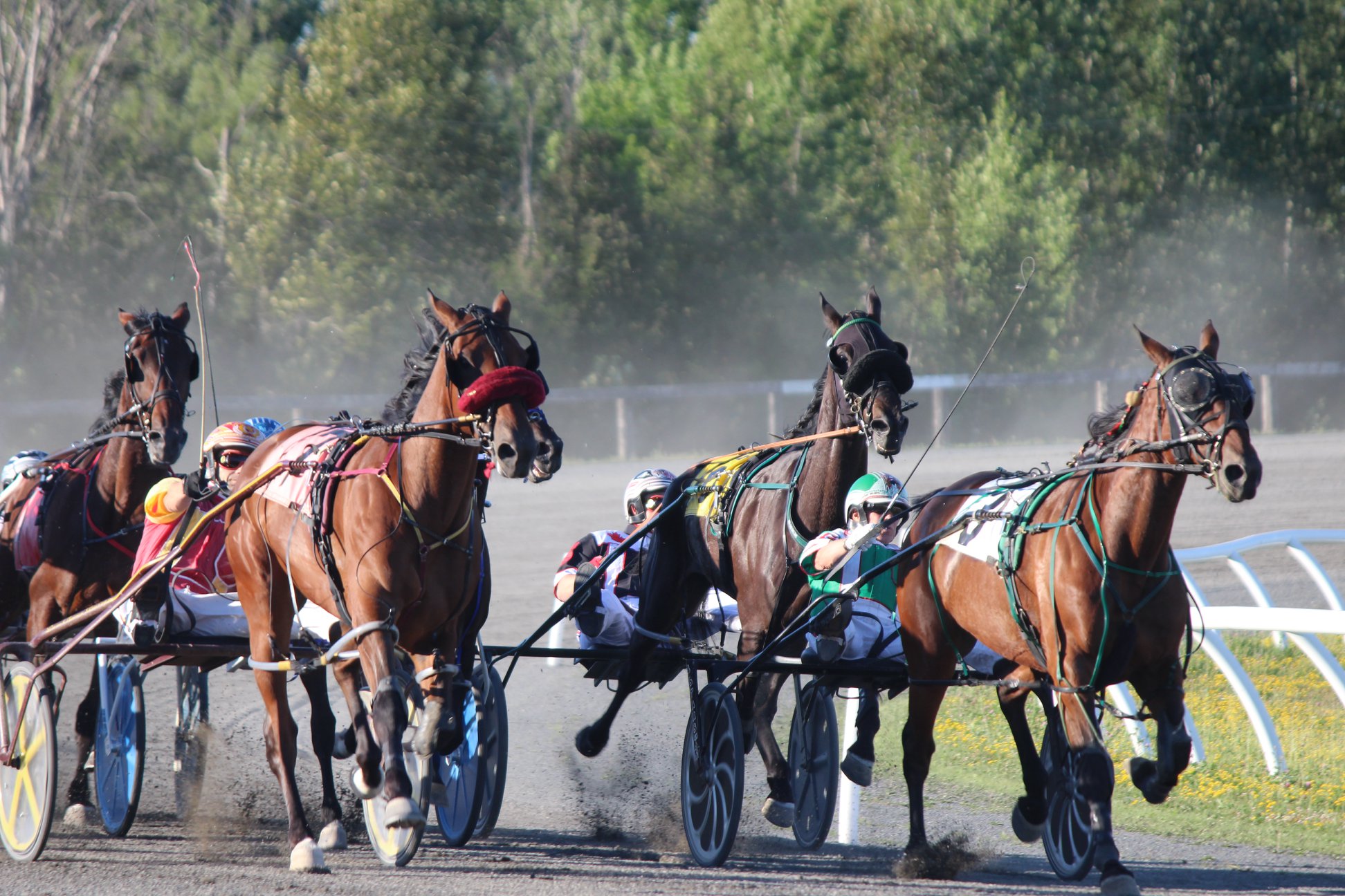 Bet Now – Horse Racing | Ontario Racing - Ontario Racing