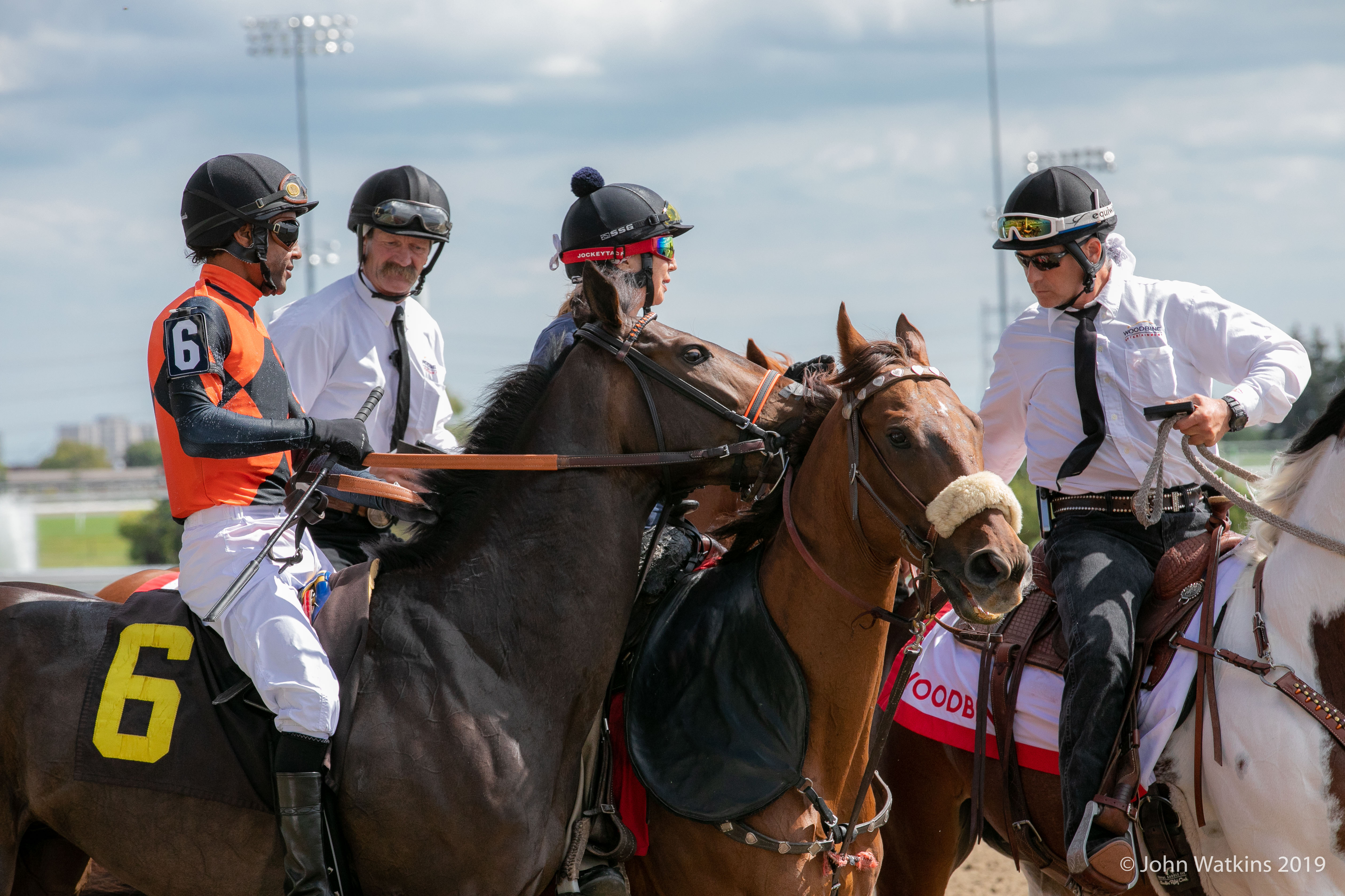 Bet Now – Horse Racing | Ontario Racing - Ontario Racing