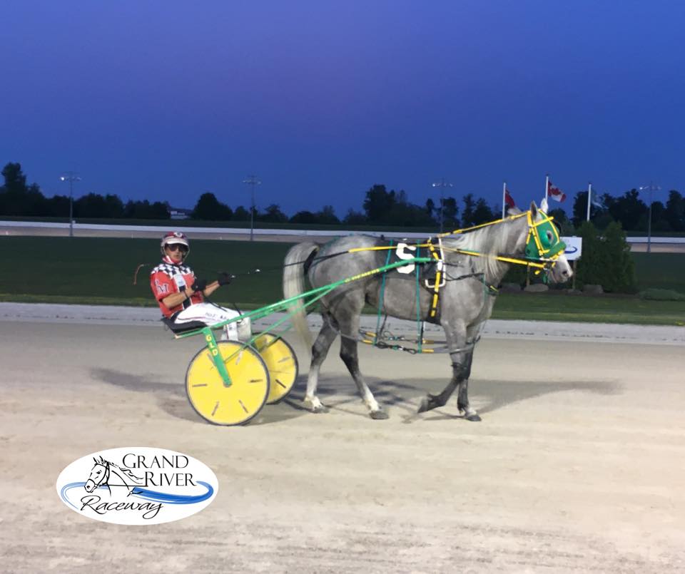 Bet Now – Horse Racing | Ontario Racing - Ontario Racing