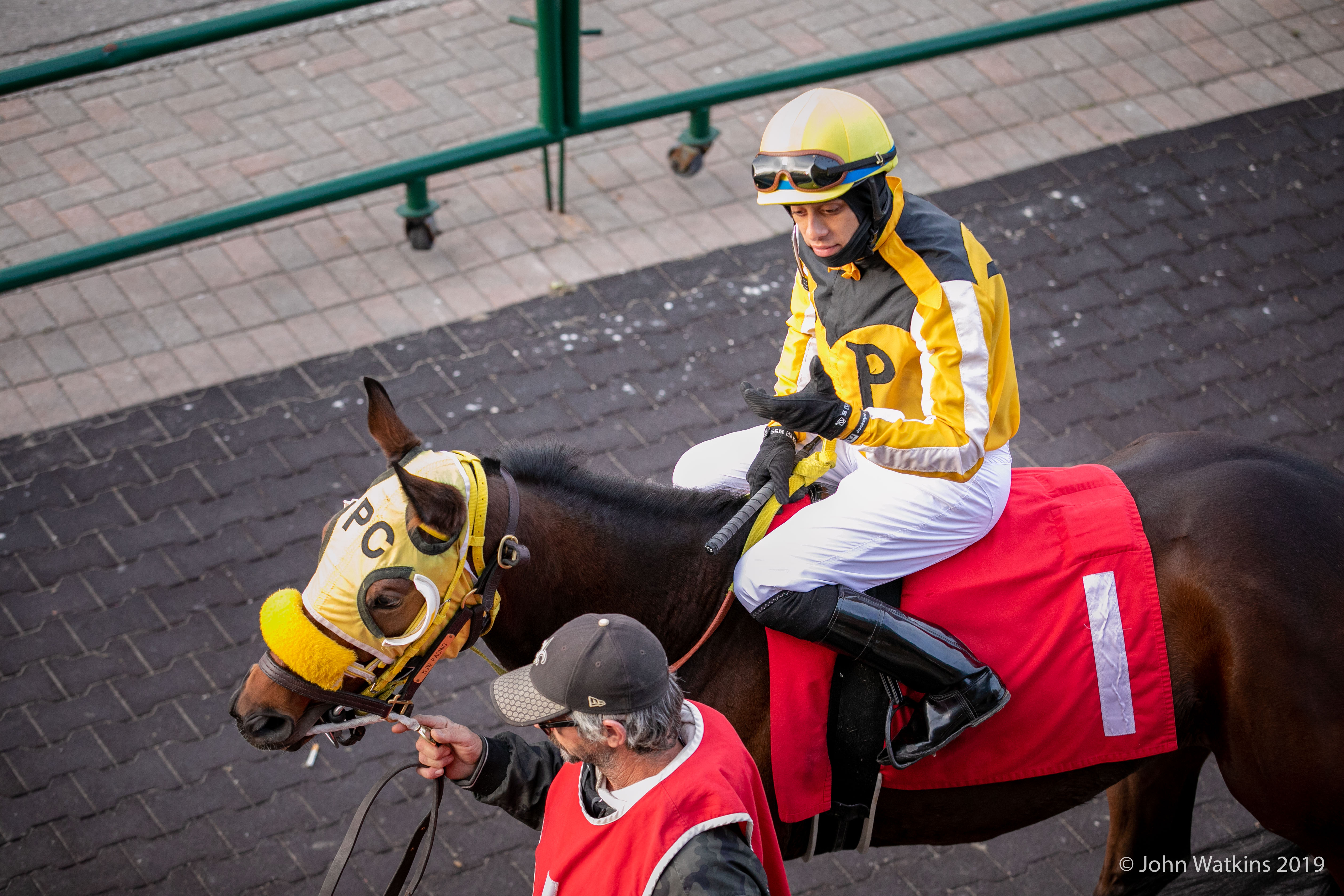 Bet Now – Horse Racing | Ontario Racing - Ontario Racing