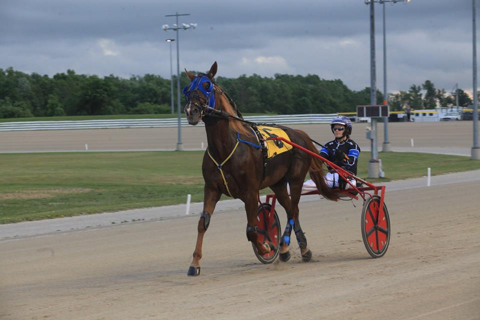 Bet Now – Horse Racing | Ontario Racing - Ontario Racing