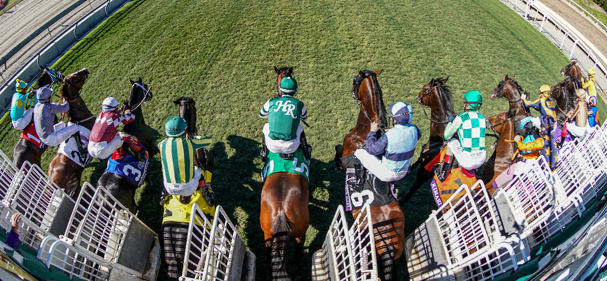 Bet Now – Horse Racing | Ontario Racing - Ontario Racing