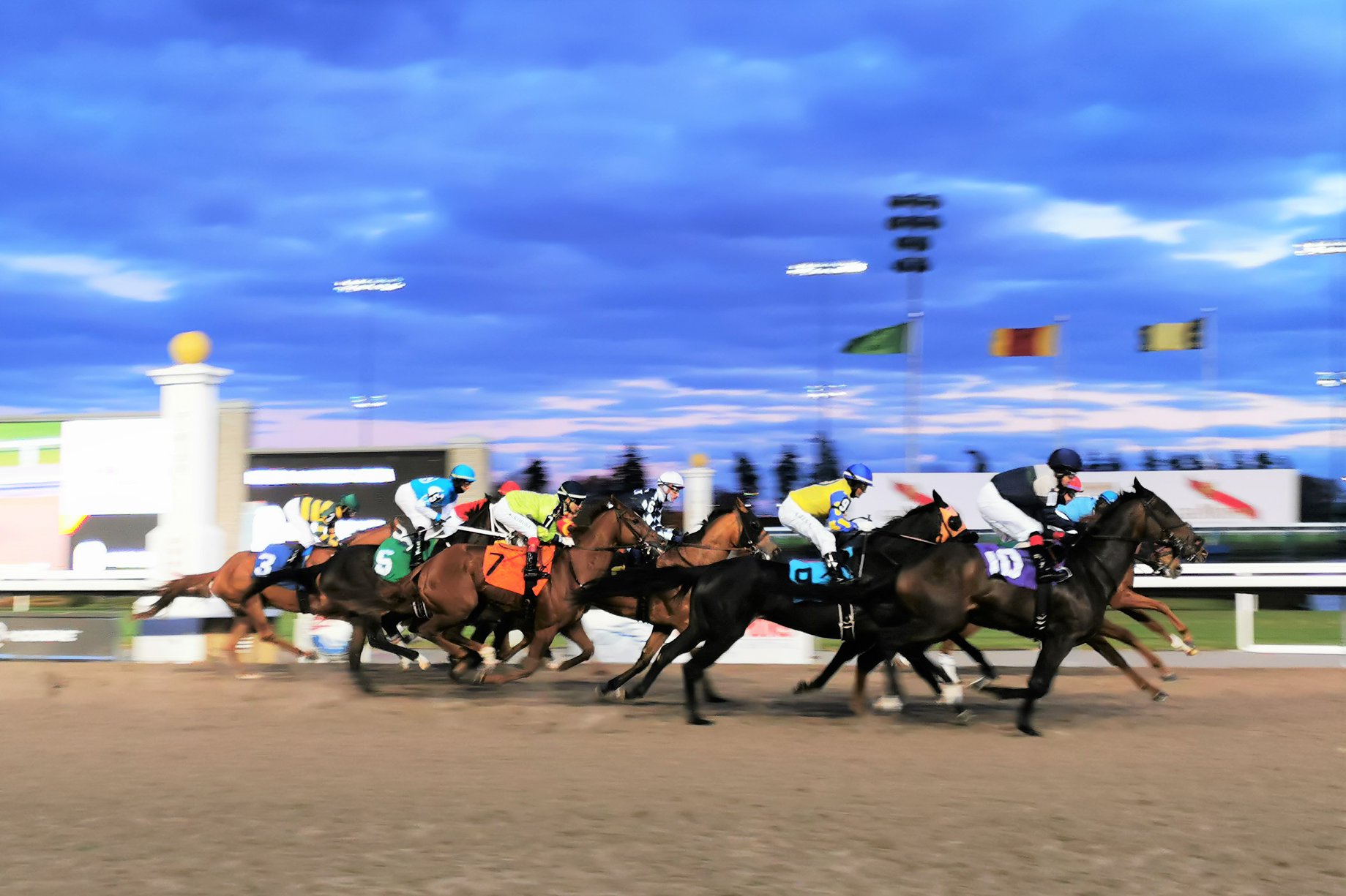 Bet Now – Horse Racing | Ontario Racing - Ontario Racing