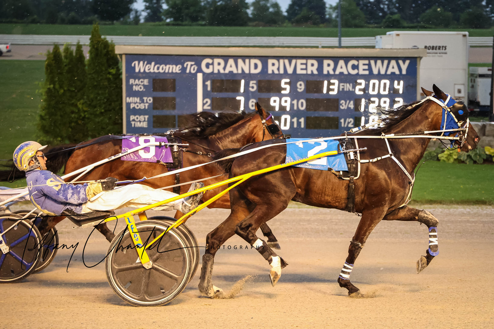 Bet Now – Horse Racing | Ontario Racing - Ontario Racing