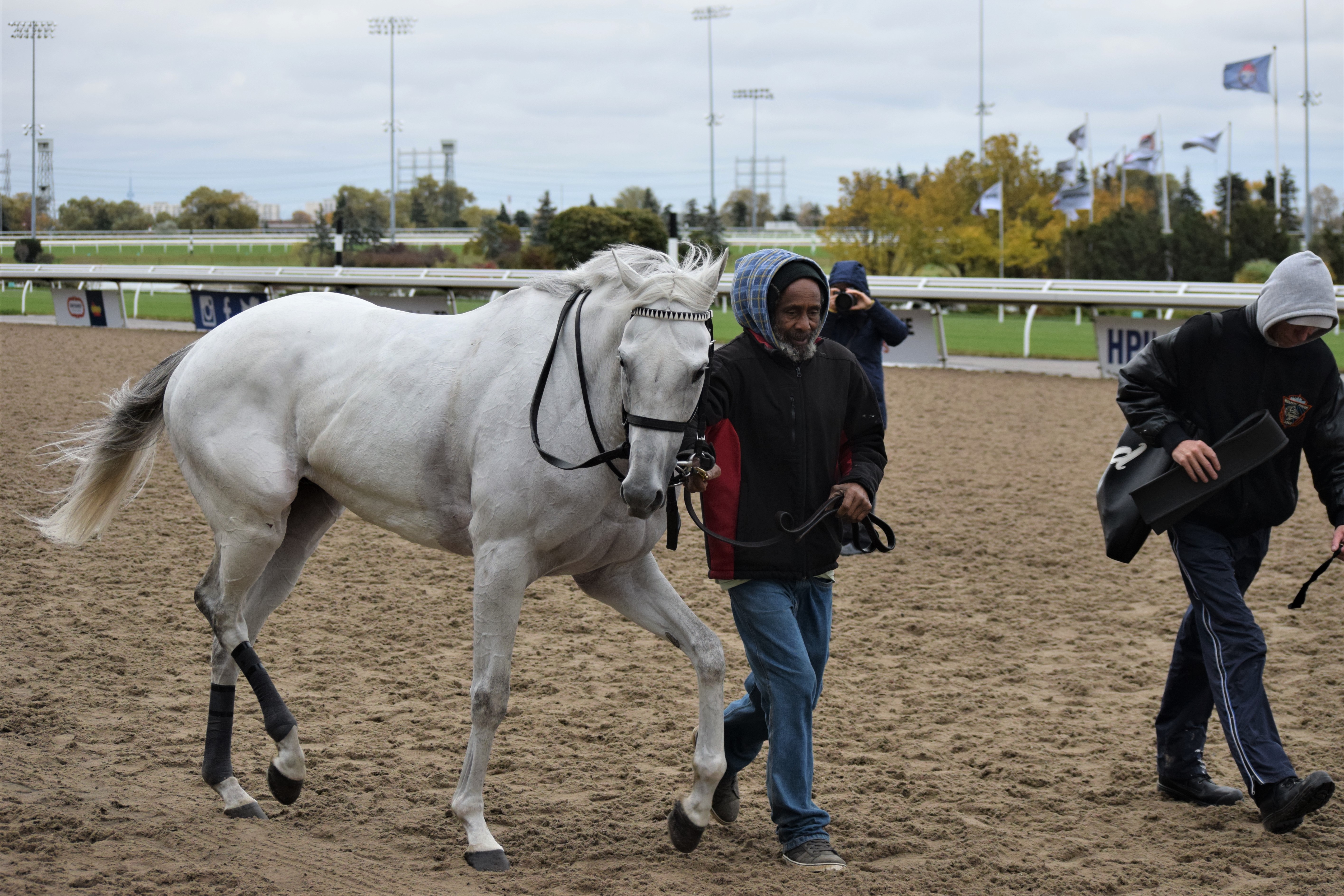 Bet Now – Horse Racing | Ontario Racing - Ontario Racing