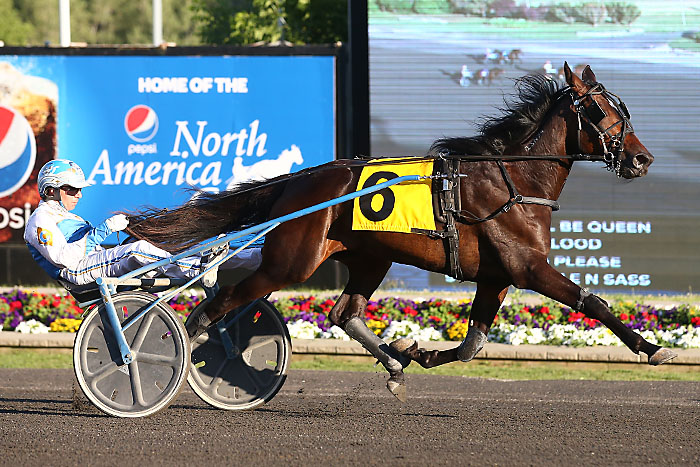 Novice fillies show off pro-level skills in Grassroots debut - Ontario ...