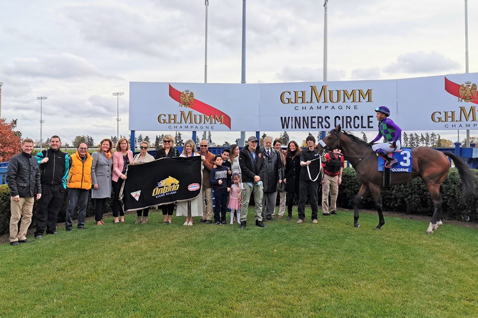 Bet Now – Horse Racing | Ontario Racing - Ontario Racing