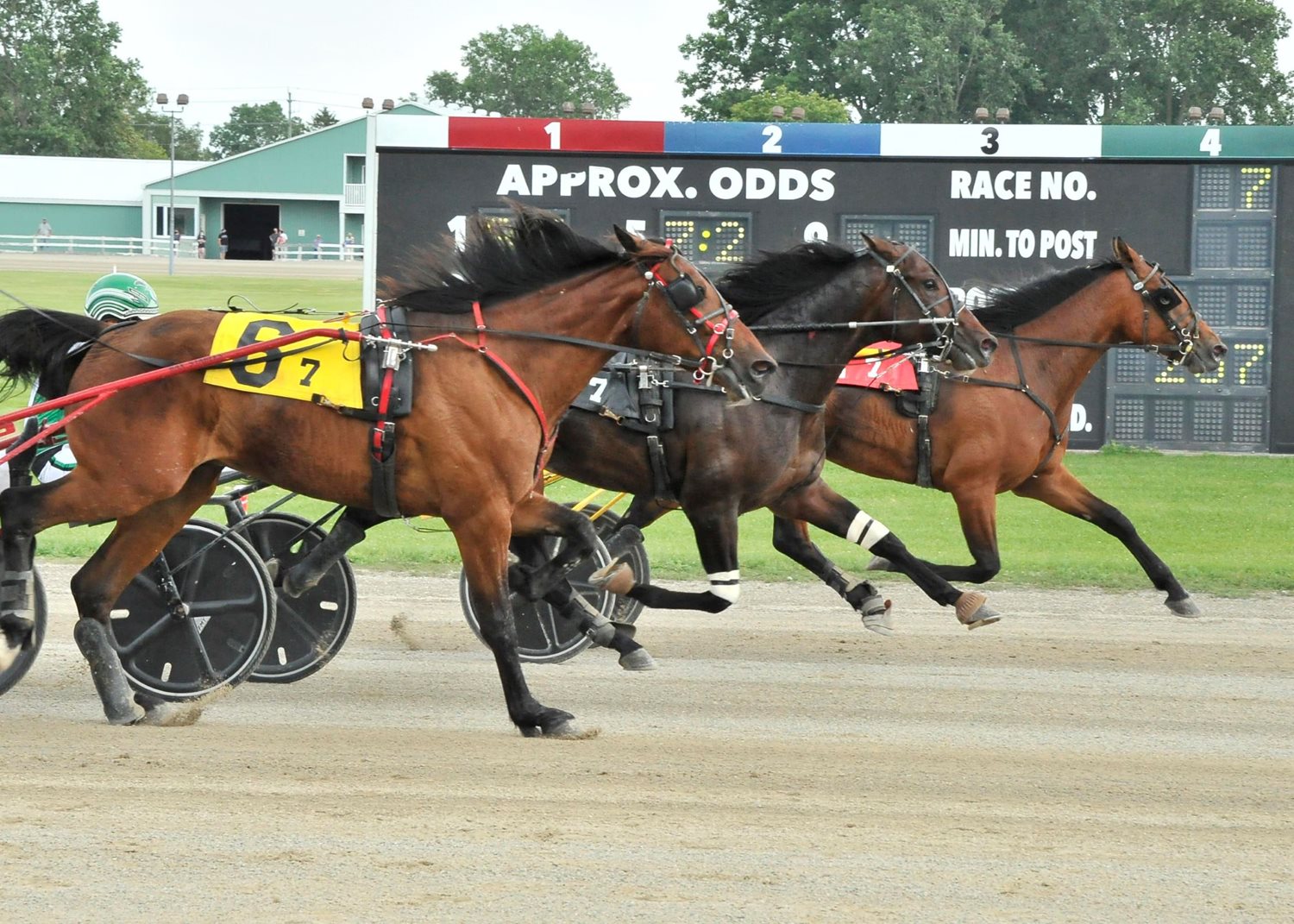 Bet Now – Horse Racing | Ontario Racing - Ontario Racing