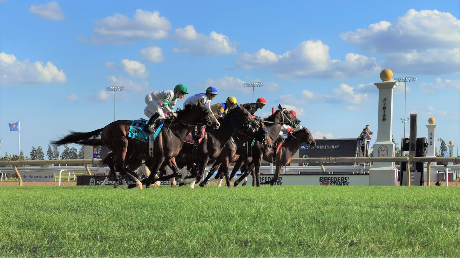 Bet Now – Horse Racing | Ontario Racing - Ontario Racing