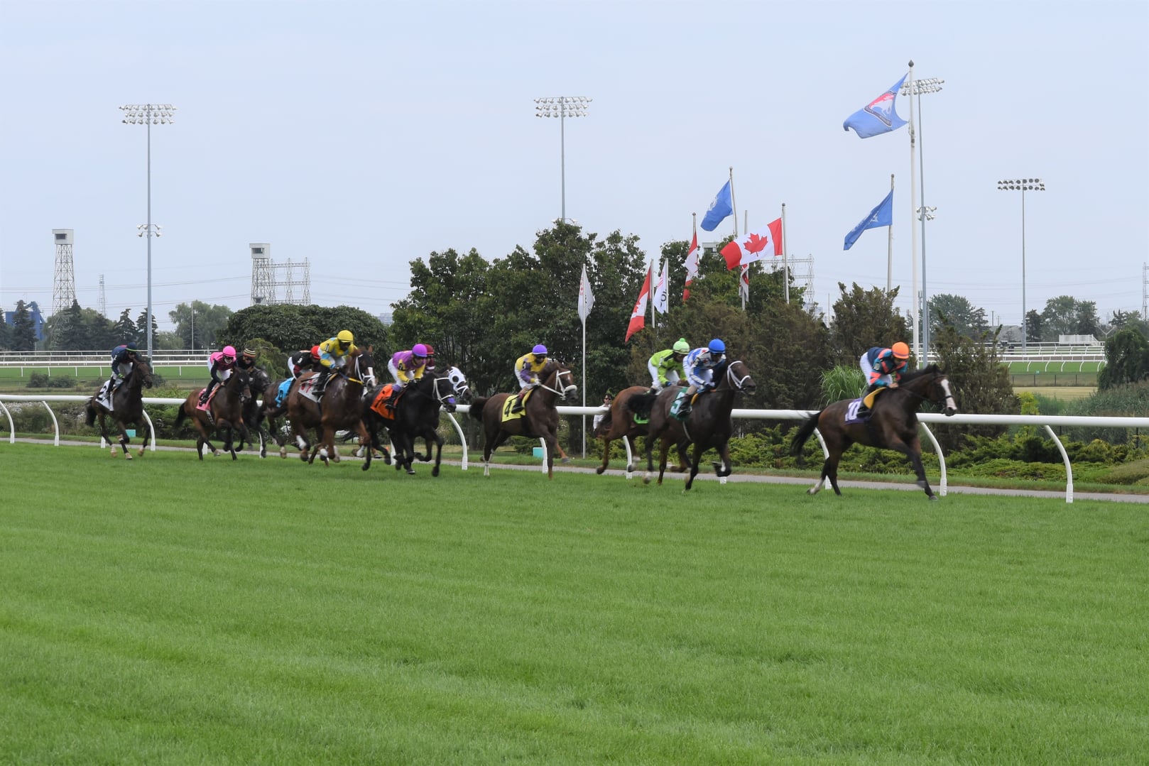 Bet Now – Horse Racing | Ontario Racing - Ontario Racing