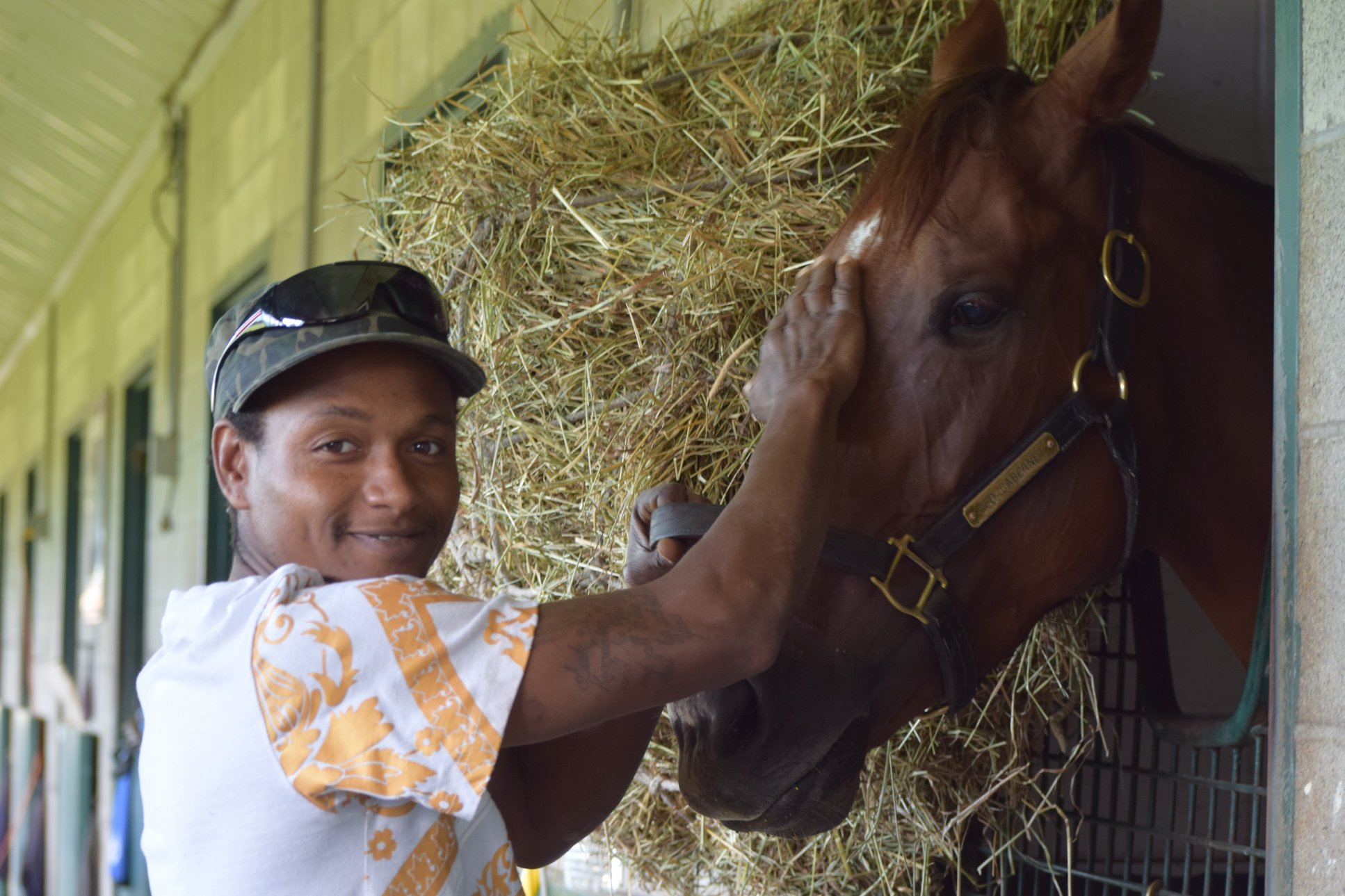 Bet Now – Horse Racing | Ontario Racing - Ontario Racing