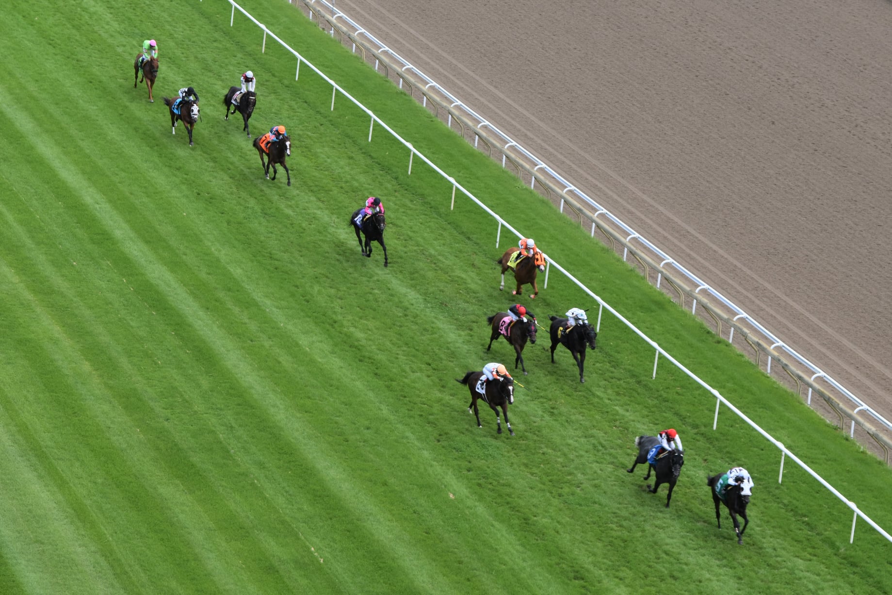 Bet Now – Horse Racing | Ontario Racing - Ontario Racing