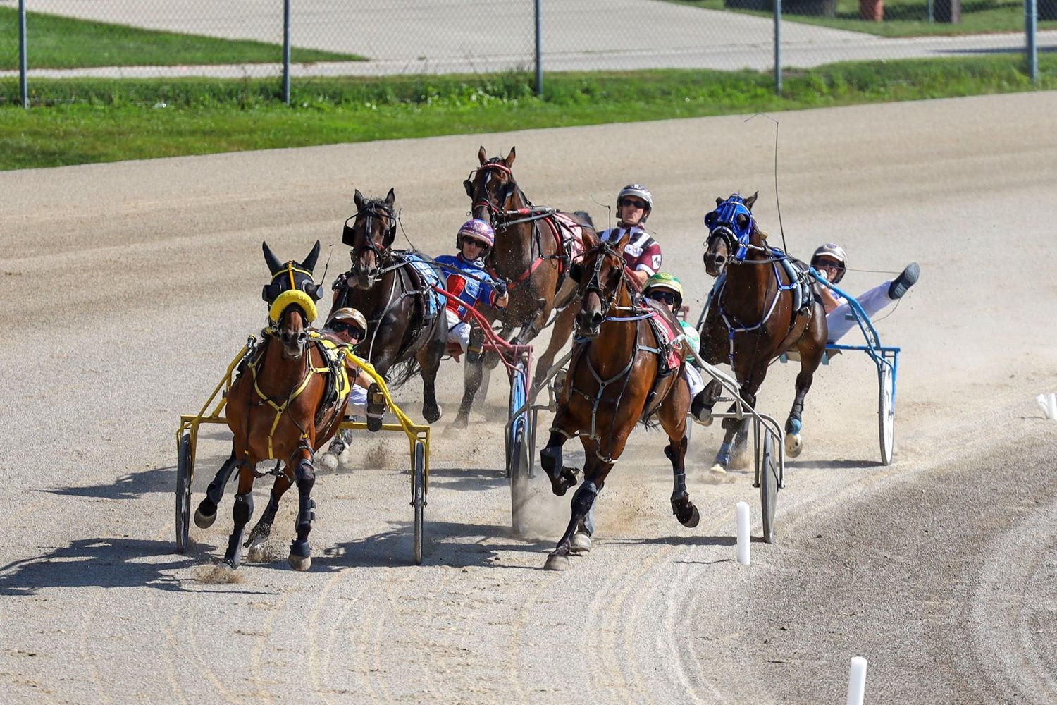 Bet Now – Horse Racing | Ontario Racing - Ontario Racing