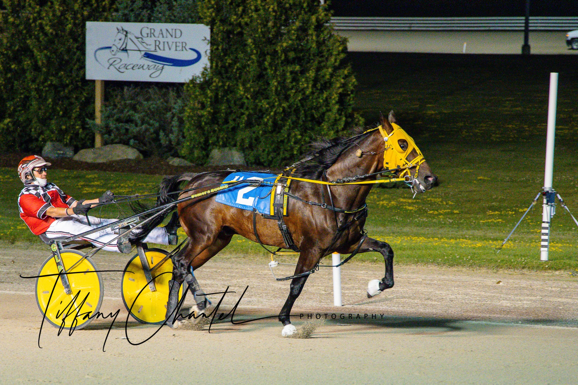 Bet Now – Horse Racing | Ontario Racing - Ontario Racing