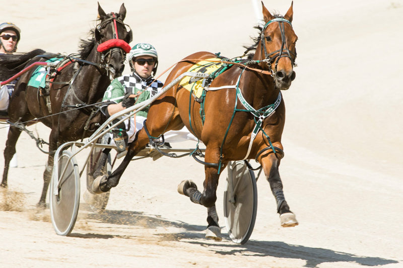 Bet Now – Horse Racing | Ontario Racing - Ontario Racing