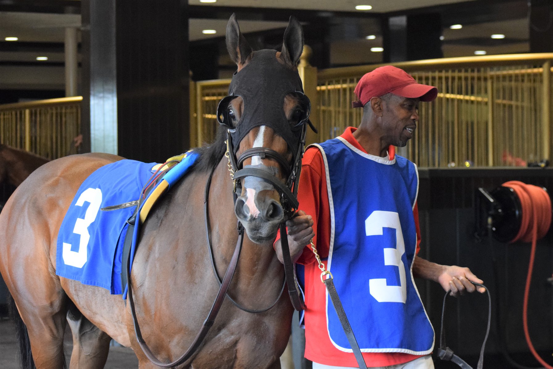 Bet Now – Horse Racing | Ontario Racing - Ontario Racing