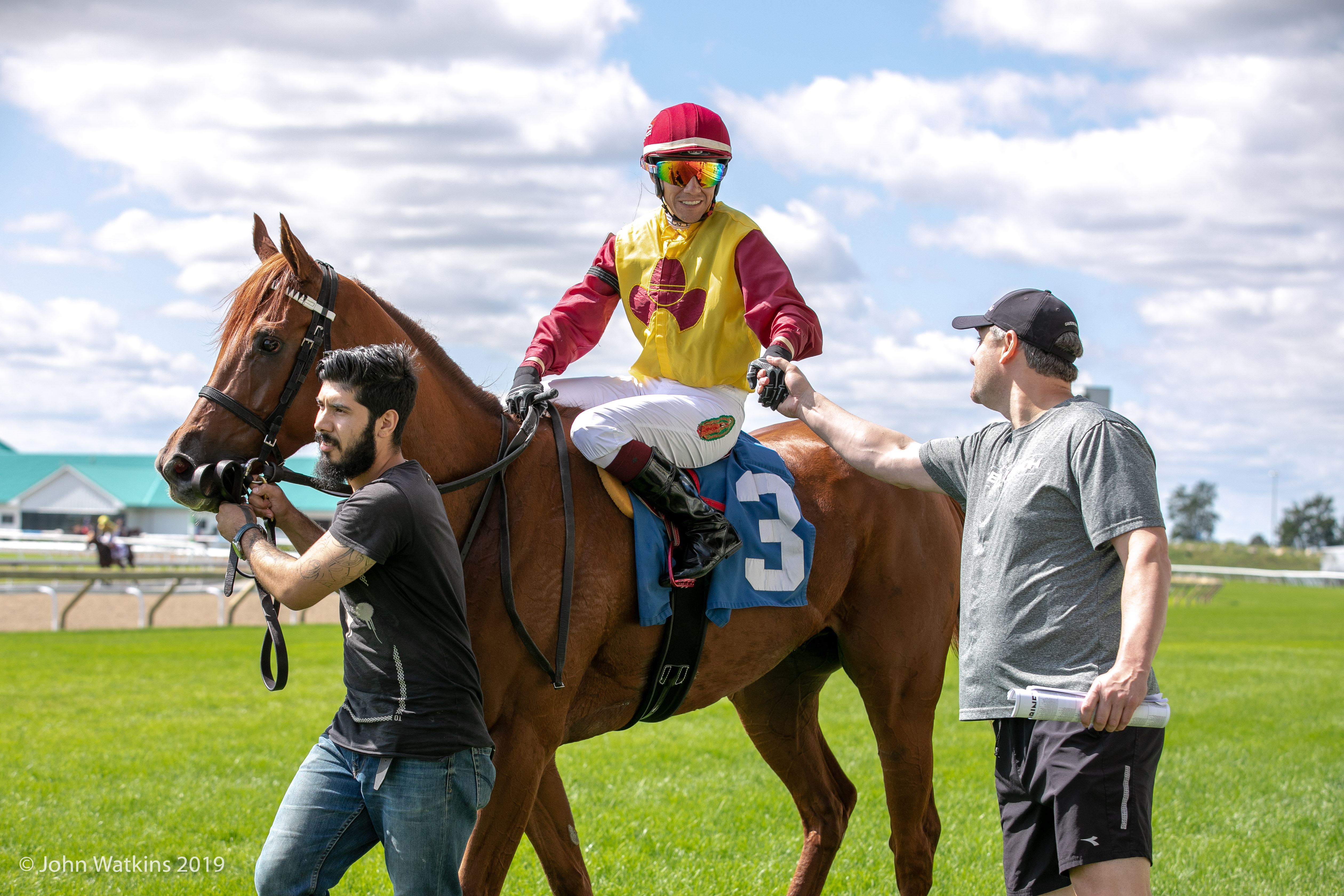 Bet Now – Horse Racing | Ontario Racing - Ontario Racing