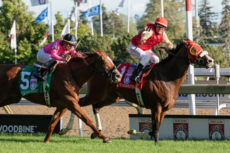 Bet Now – Horse Racing | Ontario Racing - Ontario Racing