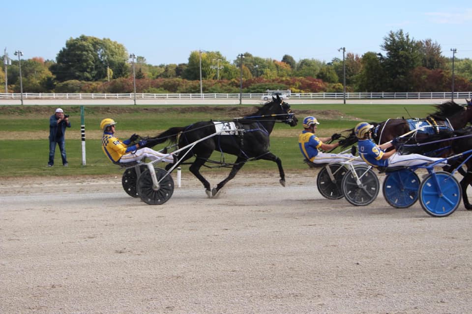 Bet Now – Horse Racing | Ontario Racing - Ontario Racing