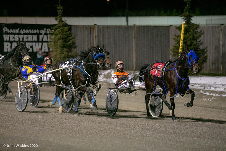 Bet Now – Horse Racing | Ontario Racing - Ontario Racing