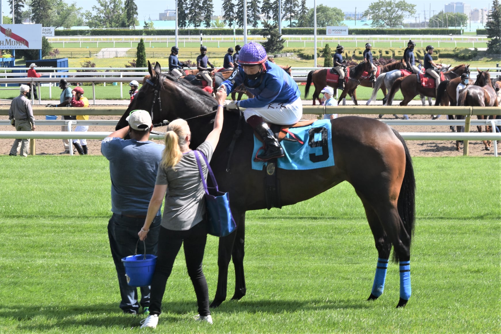 Bet Now – Horse Racing | Ontario Racing - Ontario Racing