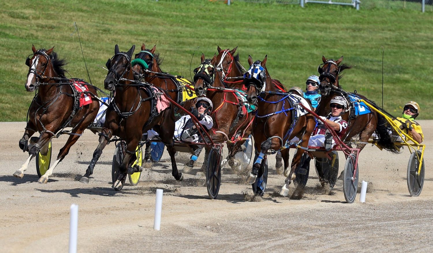 Bet Now – Horse Racing | Ontario Racing - Ontario Racing