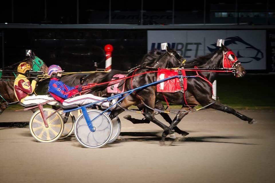 Bet Now – Horse Racing | Ontario Racing - Ontario Racing