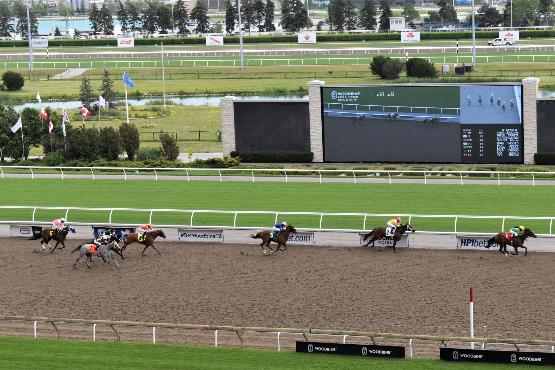 Bet Now – Horse Racing | Ontario Racing - Ontario Racing