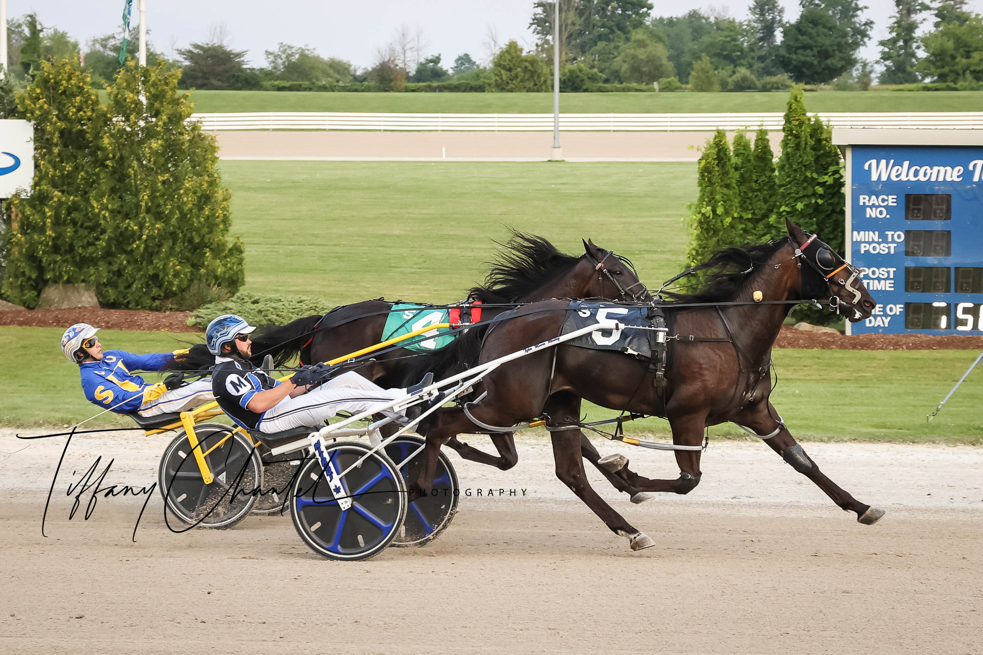 Bet Now – Horse Racing | Ontario Racing - Ontario Racing